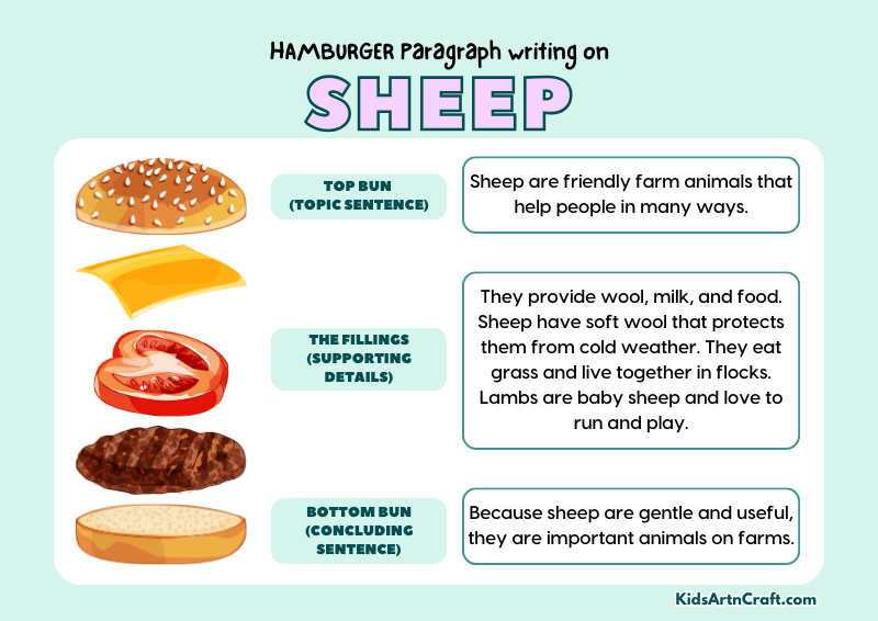 Paragraph on Sheep - Kids Art & Craft