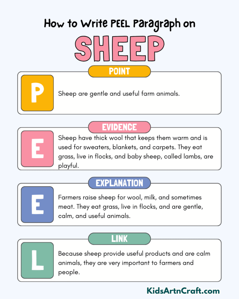 Paragraph on Sheep - Kids Art & Craft