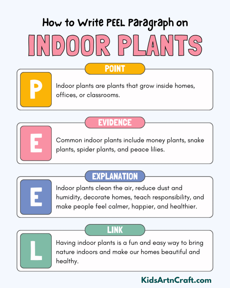 Paragraph on Indoor Plants - Kids Art & Craft