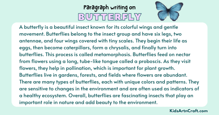 Paragraph on Butterfly - Kids Art & Craft