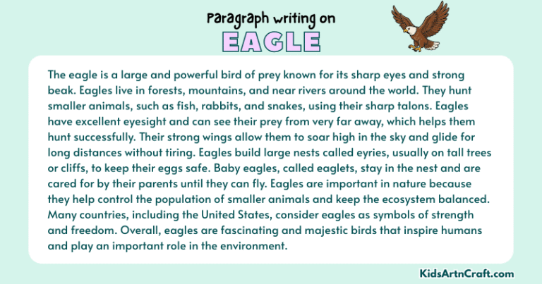 Paragraph on Eagle - Kids Art & Craft