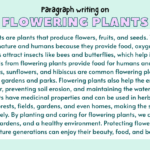 Paragraph on Earth Day - Kids Art & Craft