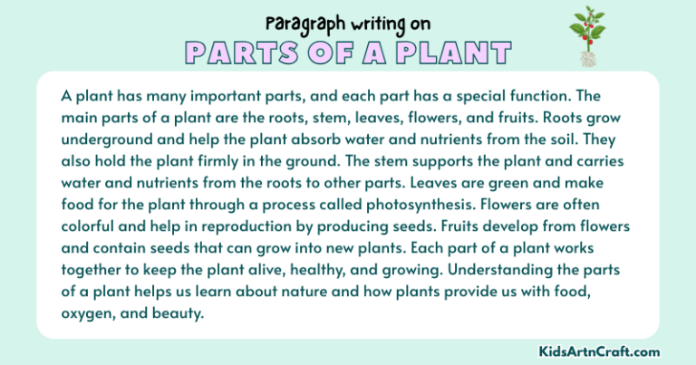 Paragraph on Parts of a Plant - Kids Art & Craft