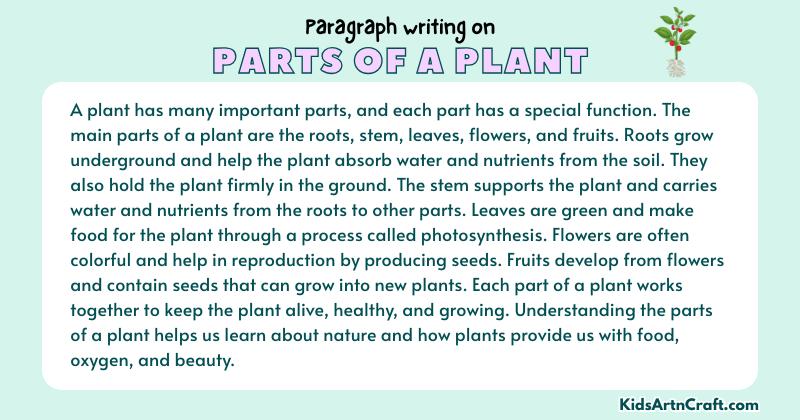 Paragraph on Parts of a Plant - Kids Art & Craft