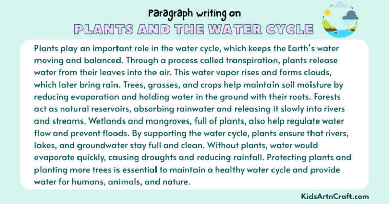 Paragraph on Plants and the Water Cycle - Kids Art & Craft