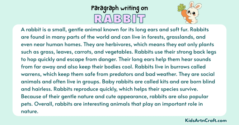 Paragraph on Rabbit - Kids Art & Craft