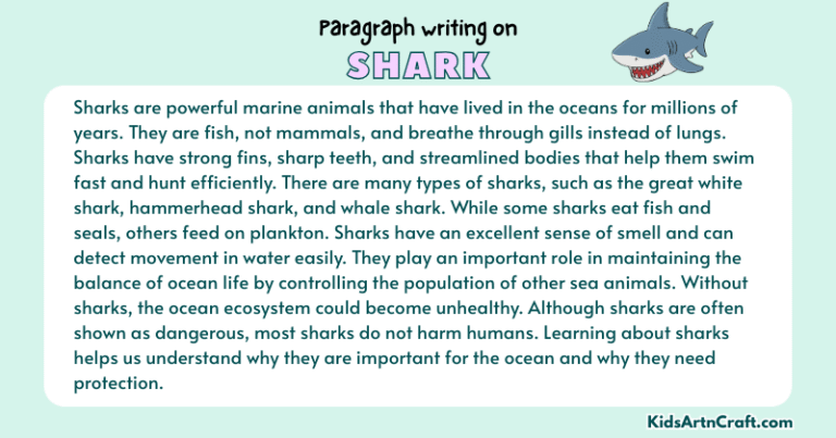 Paragraph on Shark - Kids Art & Craft