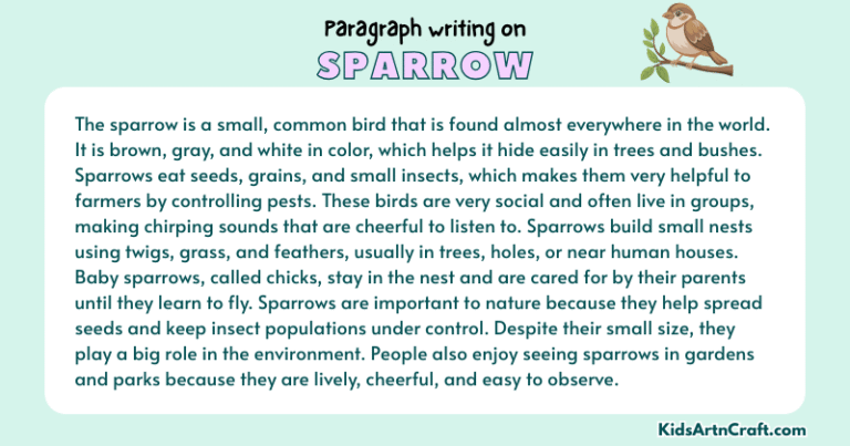 Paragraph on Sparrow - Kids Art & Craft