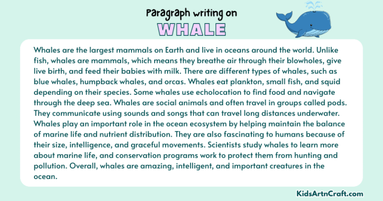 Paragraph on Whale - Kids Art & Craft