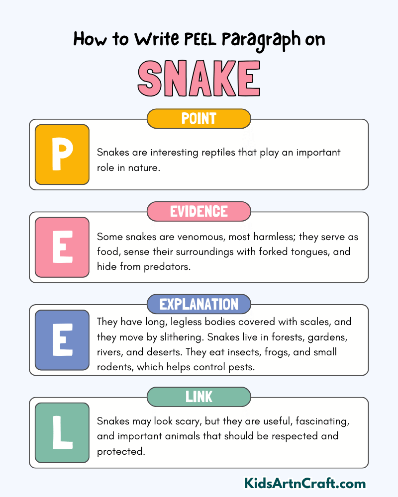 Paragraph on Snake - Kids Art & Craft